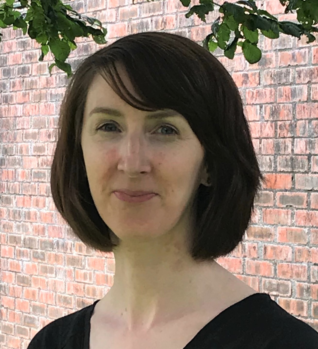 MyCIT.ie - Meet the DSS team